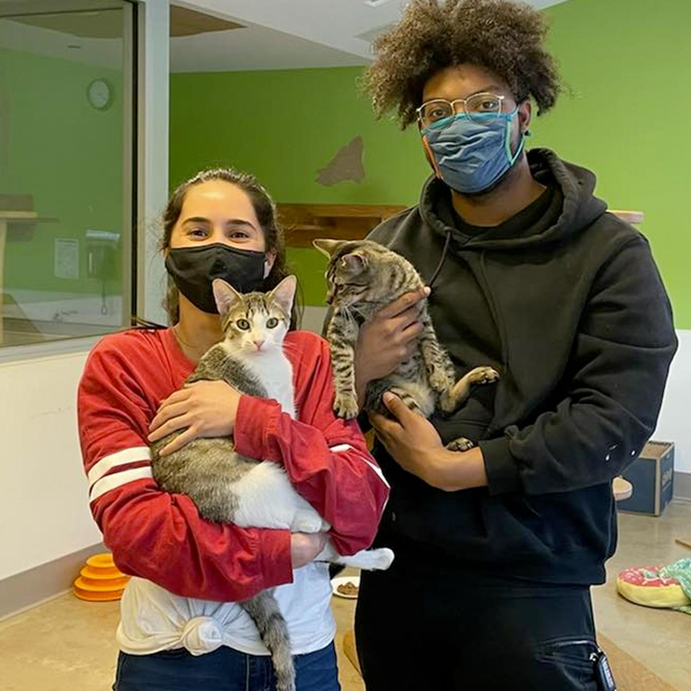 POP Cats Chicago 2025: Illinois' Ultimate Cat Convention - POP Cats
