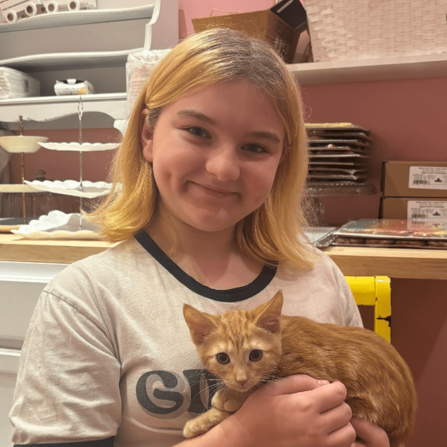 POP Cats Portland 2025: Portland's Ultimate Cat Convention - POP Cats