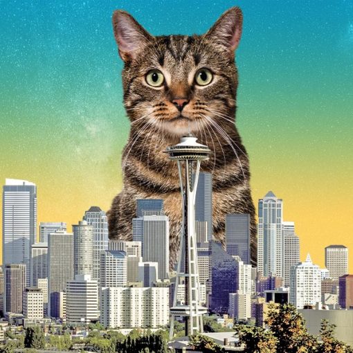 Shop - POP Cats