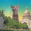 POP Cats: The Best US Cat Convention visiting 7 cities in 2025 - POP Cats