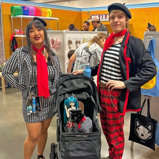 POP Cats: The Best US Cat Convention visiting 4 cities in 2026 - POP Cats